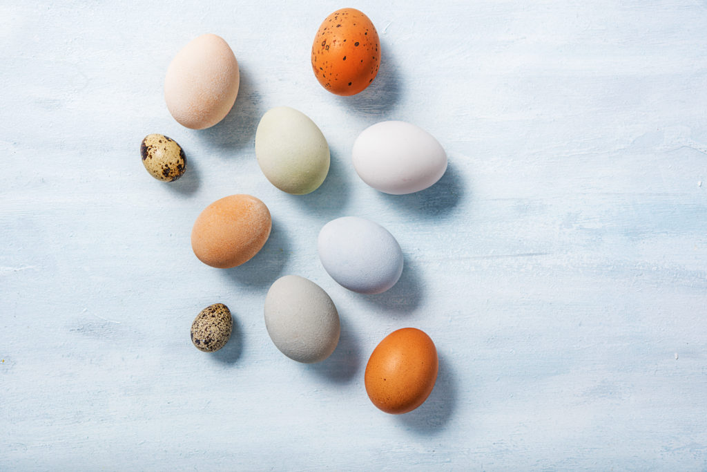 What's so great about the humble egg? | HelloFresh Blog